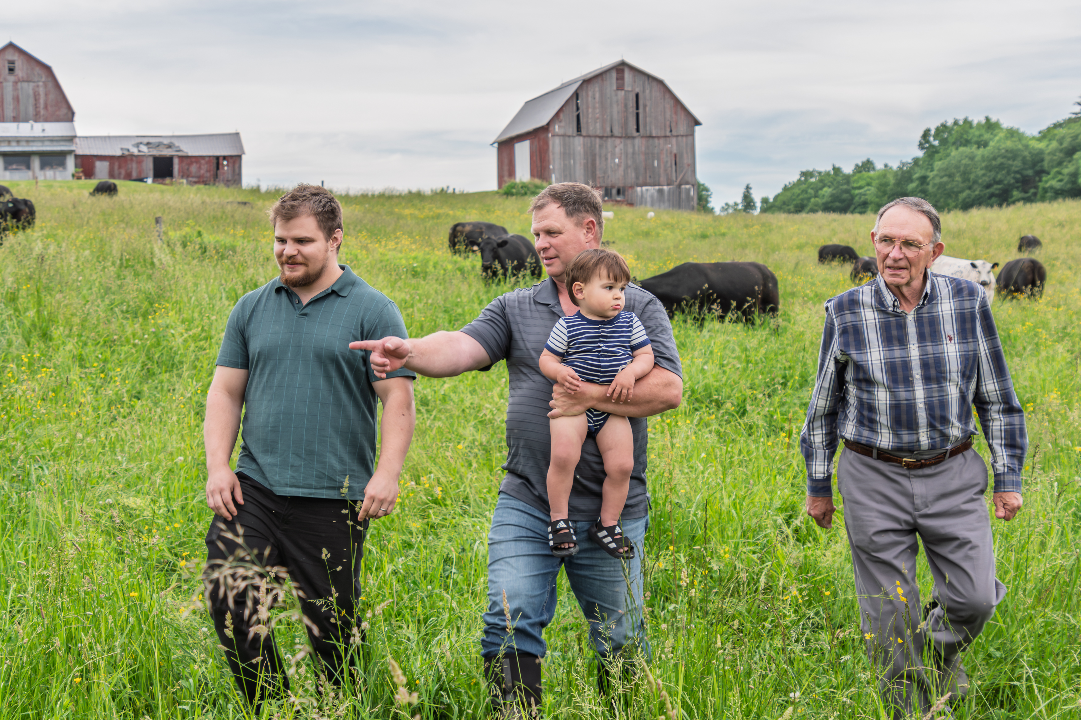 Beef Production in New York