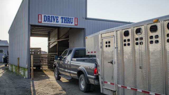 Beef Quality Assurance Transportation