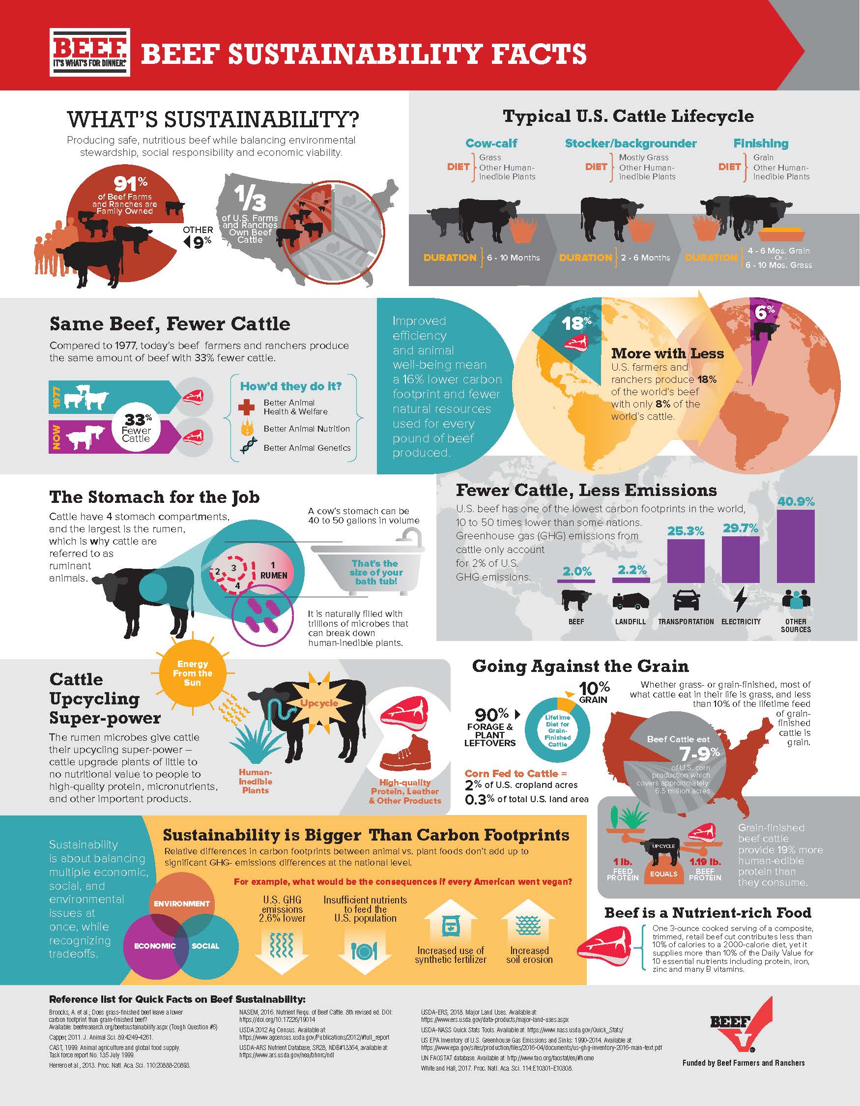 Beef and Sustainability